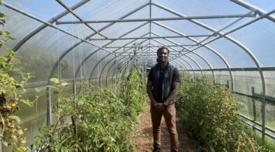 Yale West Campus Farm builds community through gardening and ...