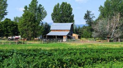 Owners of Victor farm to recieve lifetime achievement award | Our ...